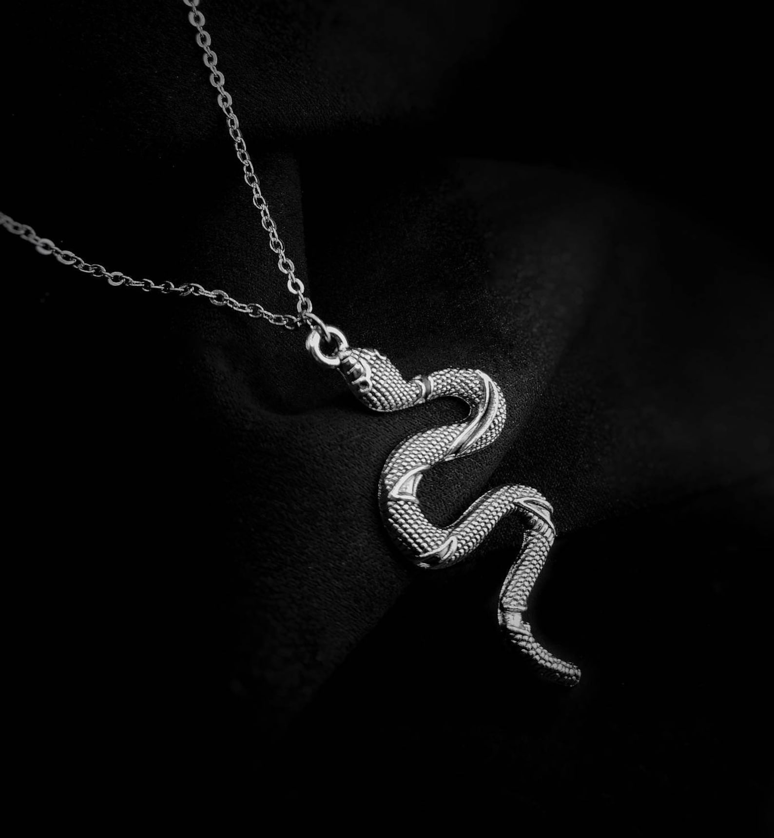 Silver Snake Charm Chain Necklace,snake Pendant Necklace for Women,flat ...