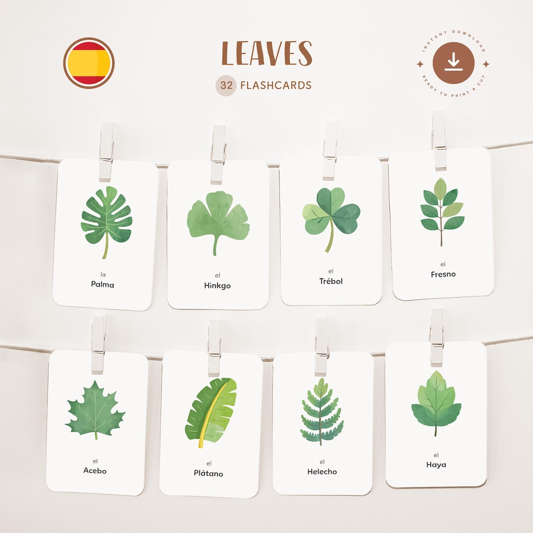 LEAVES • Spanish • Printable Flashcards • Three-part Montessori Cards ...
