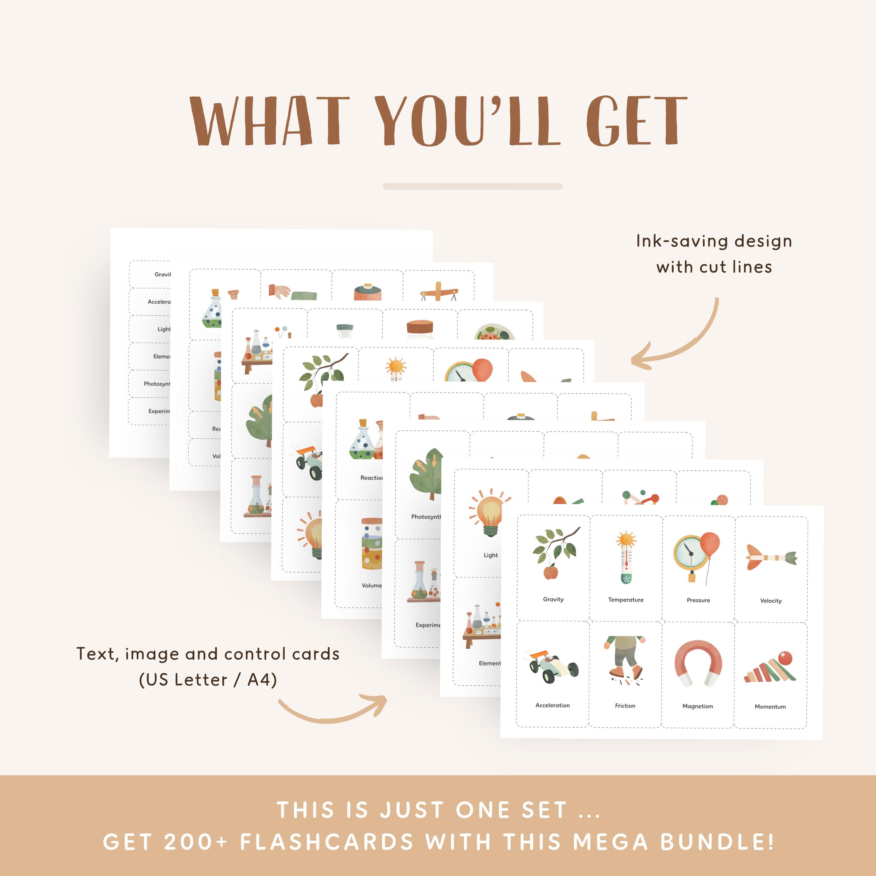 SCIENCE BUNDLE • English • Printable Flashcards • Three-part Montessori ...