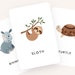 JUNGLE ANIMALS English Printable Flashcards Three-part Montessori Cards ...