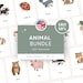 ANIMAL BUNDLE • English • Printable Flashcards • Three-part Montessori ...
