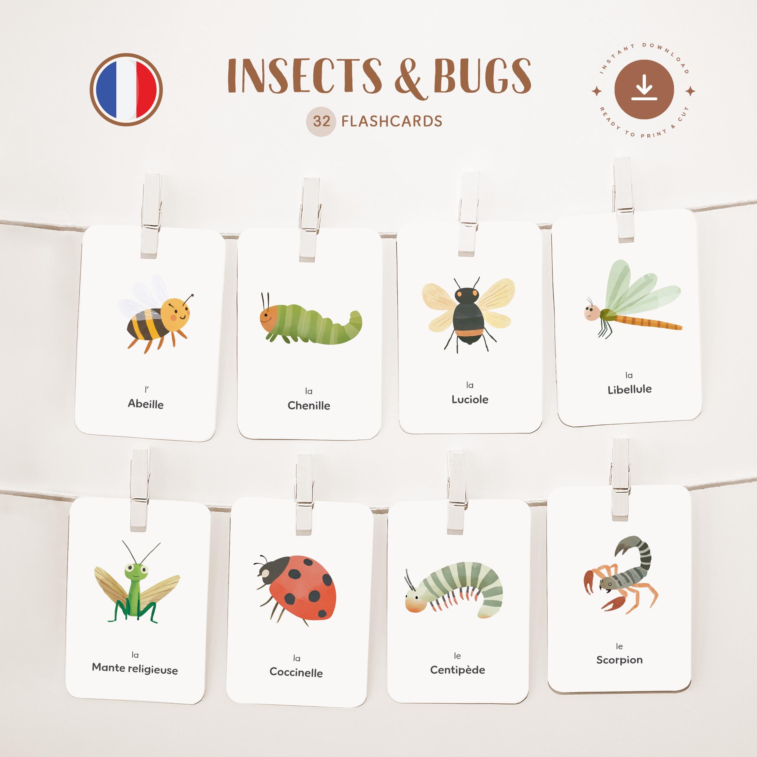 INSECTS & BUGS • French • Printable Flashcards • Three-part Montessori ...