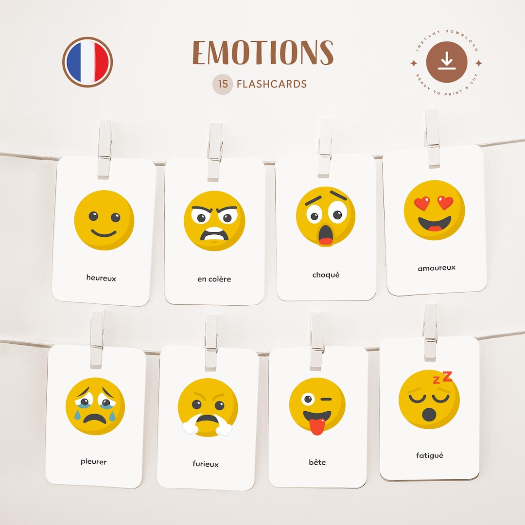 EMOTIONS • French • Printable Flashcards • Three-part Montessori Cards ...
