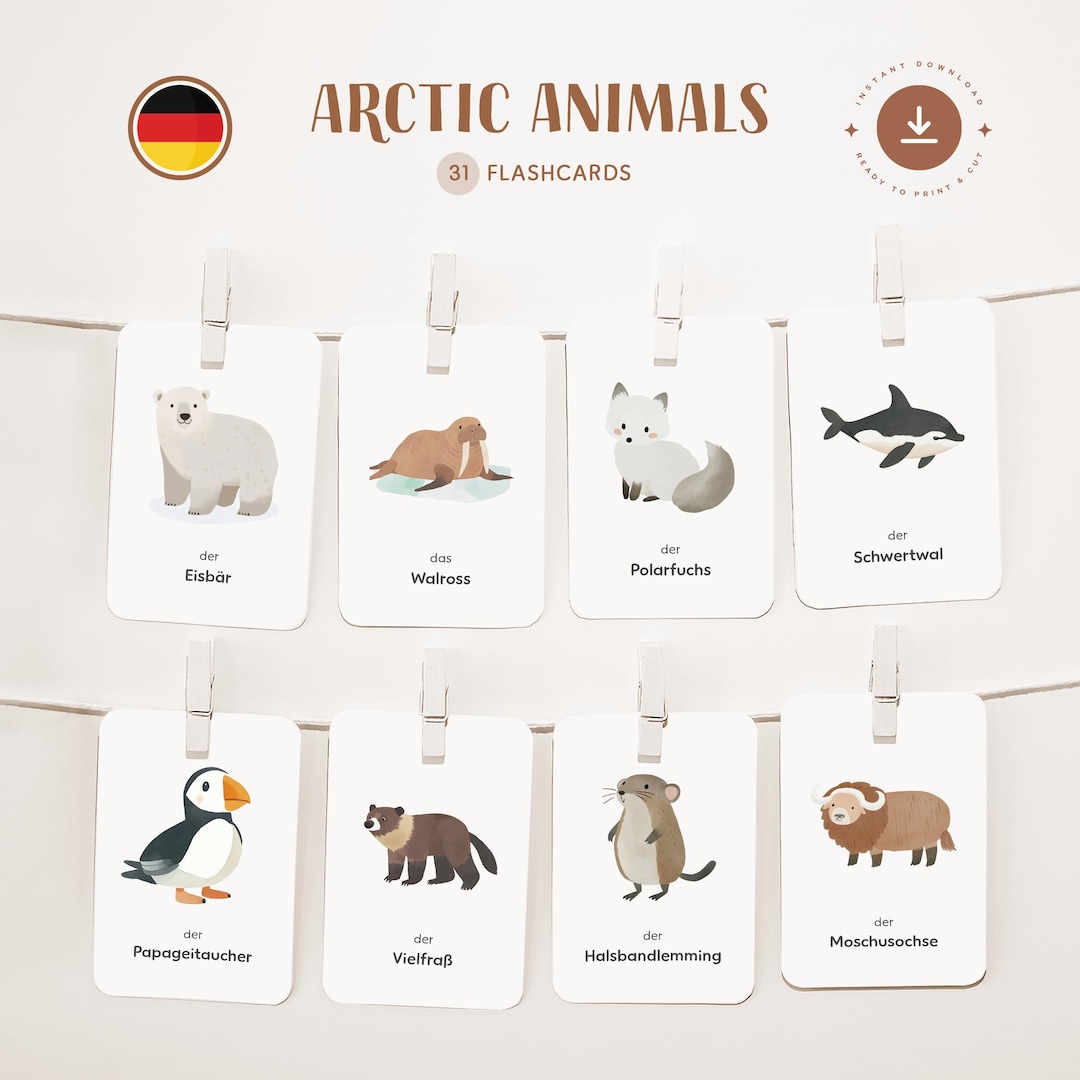 ARCTIC ANIMALS • German • Printable Flashcards • Three-part Montessori ...