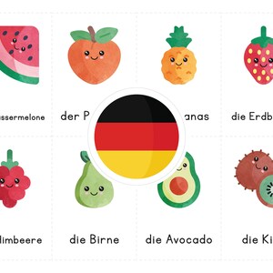 FRUITS German Printable Flashcards Three-part Montessori | Etsy