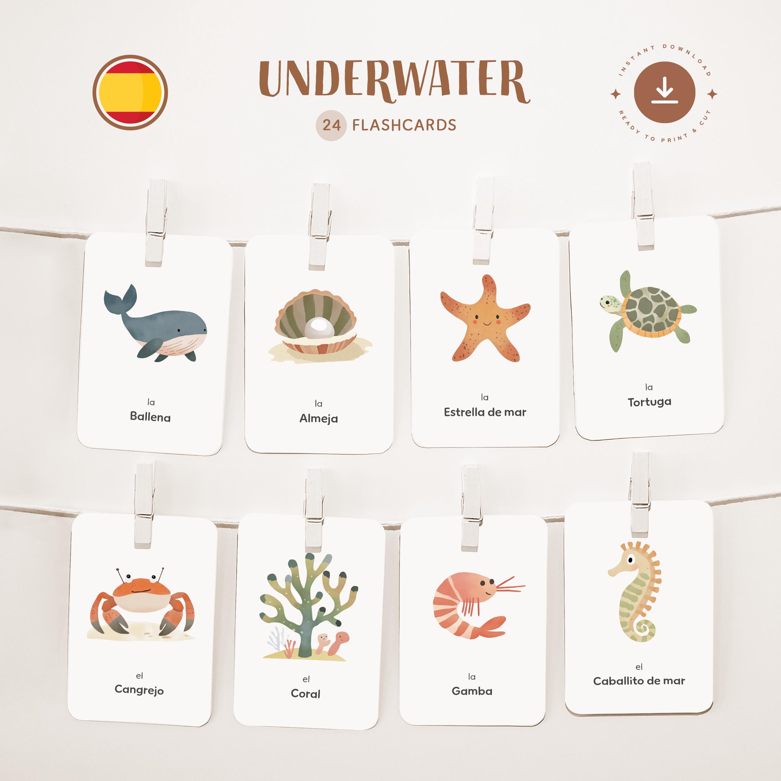 UNDERWATER • Spanish • Printable Flashcards • Three-part Montessori ...