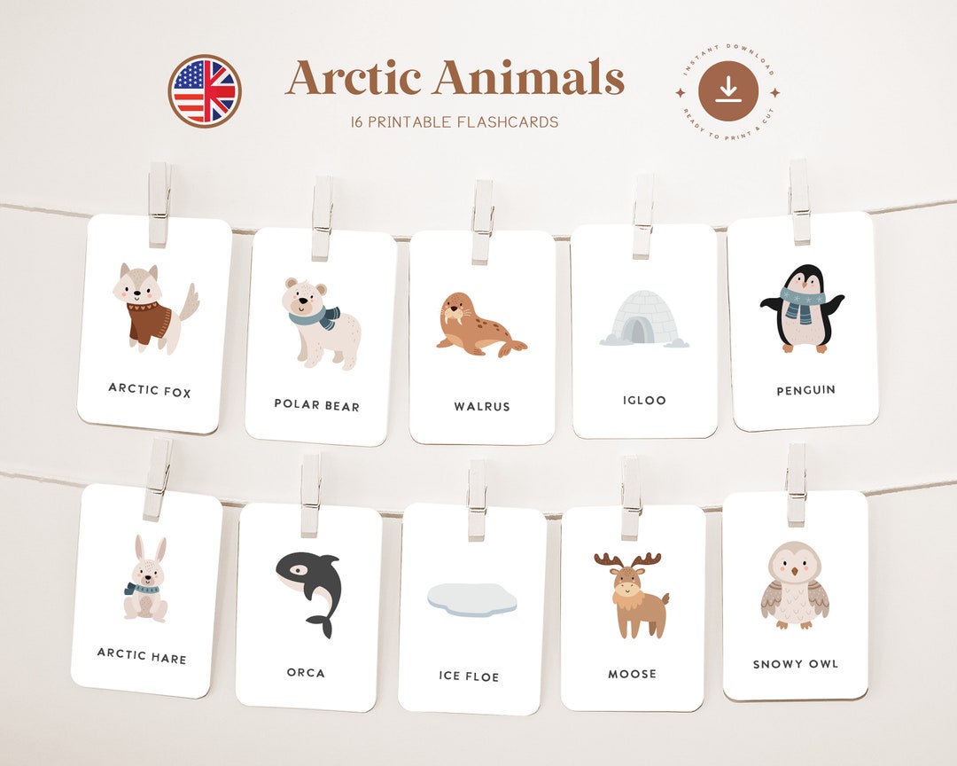 ARCTIC ANIMALS English Printable Flashcards Three-part Montessori Cards ...