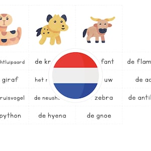 SAFARI ANIMALS Dutch Printable Flashcards Three-part - Etsy Canada