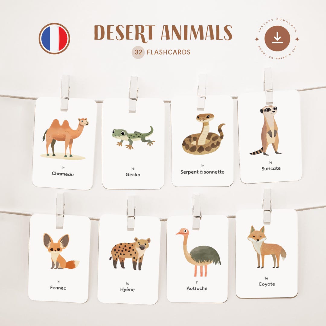 DESERT ANIMALS • French • Printable Flashcards • Three-part Montessori ...