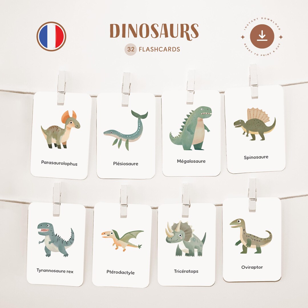 DINOSAURS • French • Printable Flashcards • Three-part Montessori Cards ...