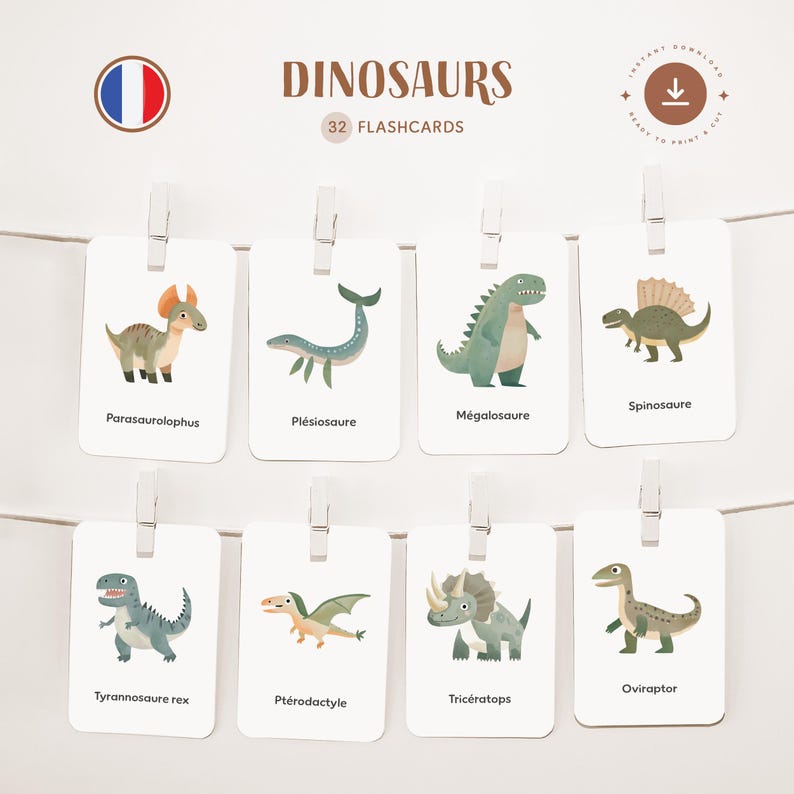 DINOSAURS • French • Printable Flashcards • Three-part Montessori Cards ...