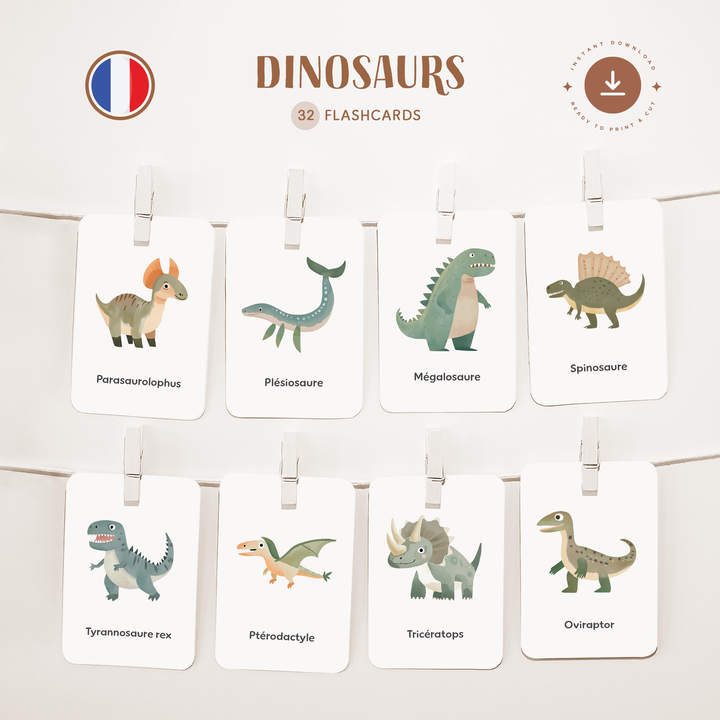 DINOSAURS • French • Printable Flashcards • Three-part Montessori Cards ...