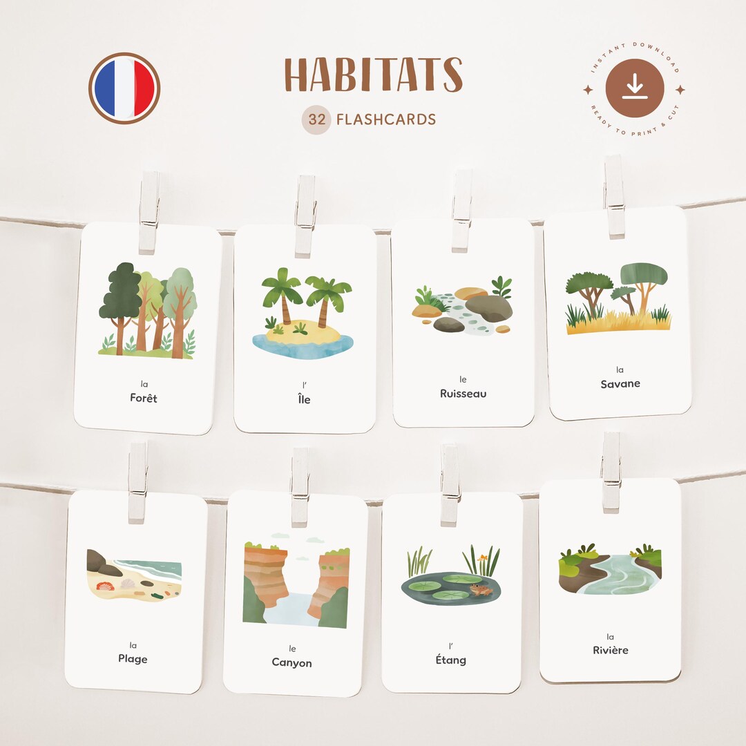 HABITATS & ECOSYSTEMS • French • Printable Flashcards • Three-part ...