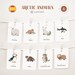 ARCTIC ANIMALS • Spanish • Printable Flashcards • Three-part Montessori ...