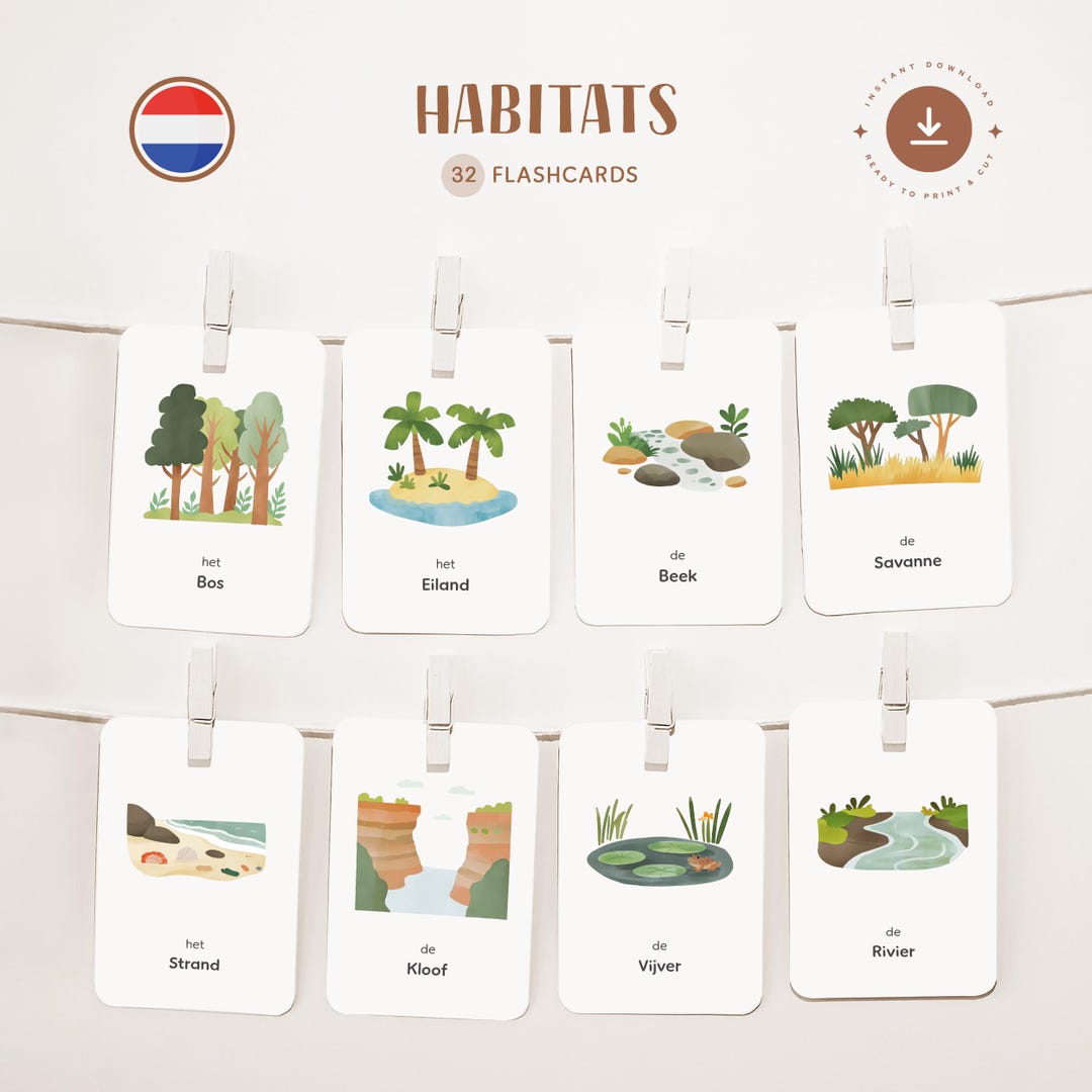 HABITATS & ECOSYSTEMS • Dutch • Printable Flashcards • Three-part ...