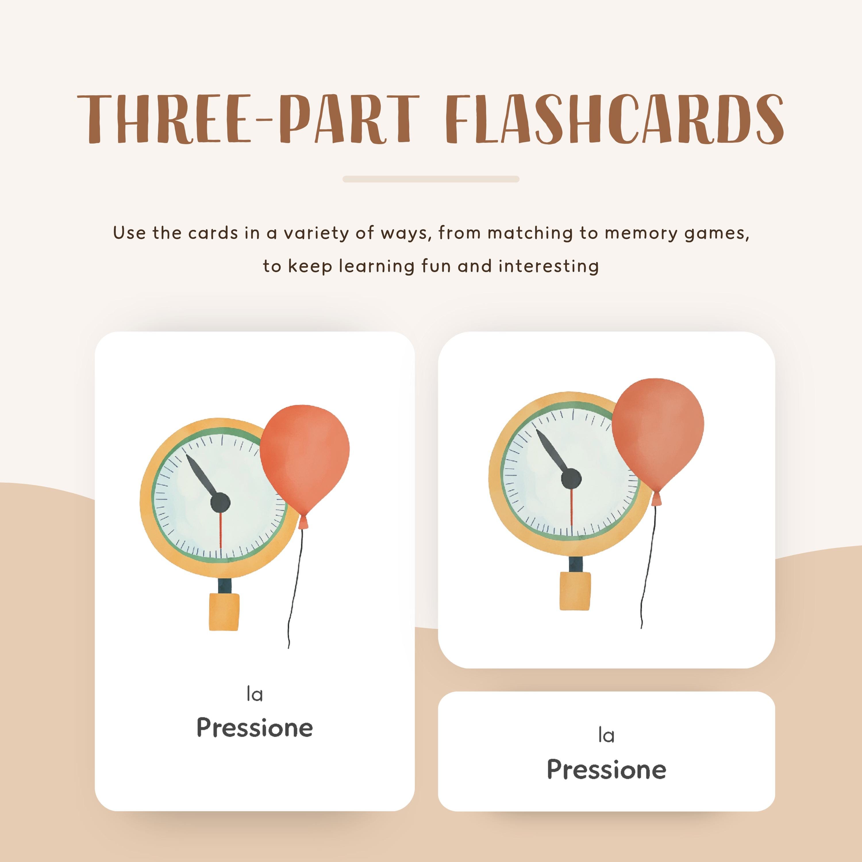 SCIENCE CONCEPTS • Italian • Printable Flashcards • Three-part ...