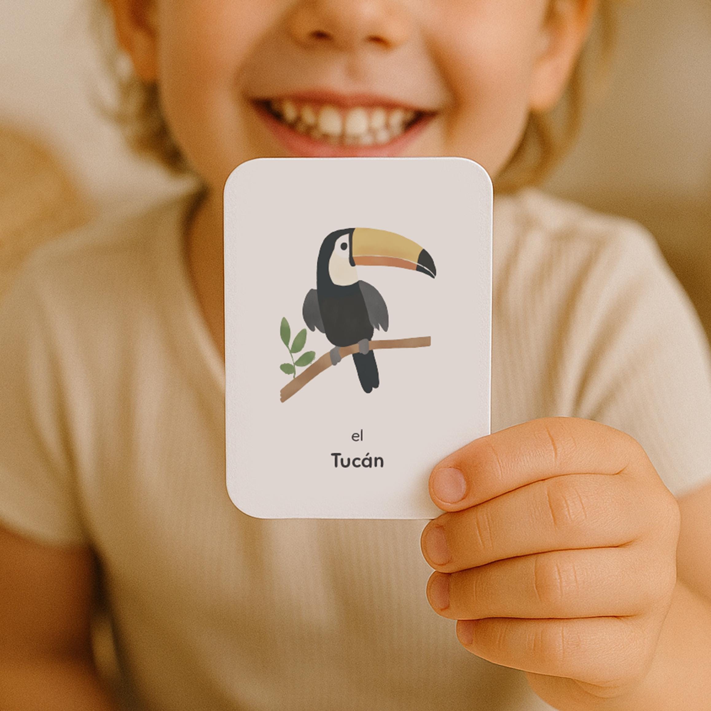 ULTIMATE COLLECTION • Spanish • 1000+ Printable Flashcards • Three-part ...