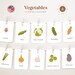 VEGETABLES English Printable Flashcards Three-part Montessori Cards ...