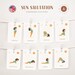 YOGA • Sun Salutation • English • Printable Cards • 10 Poses - Etsy