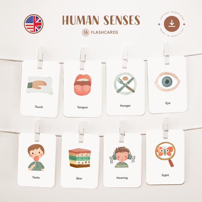 HUMAN SENSES • English • Printable Flashcards • Three-part Montessori ...
