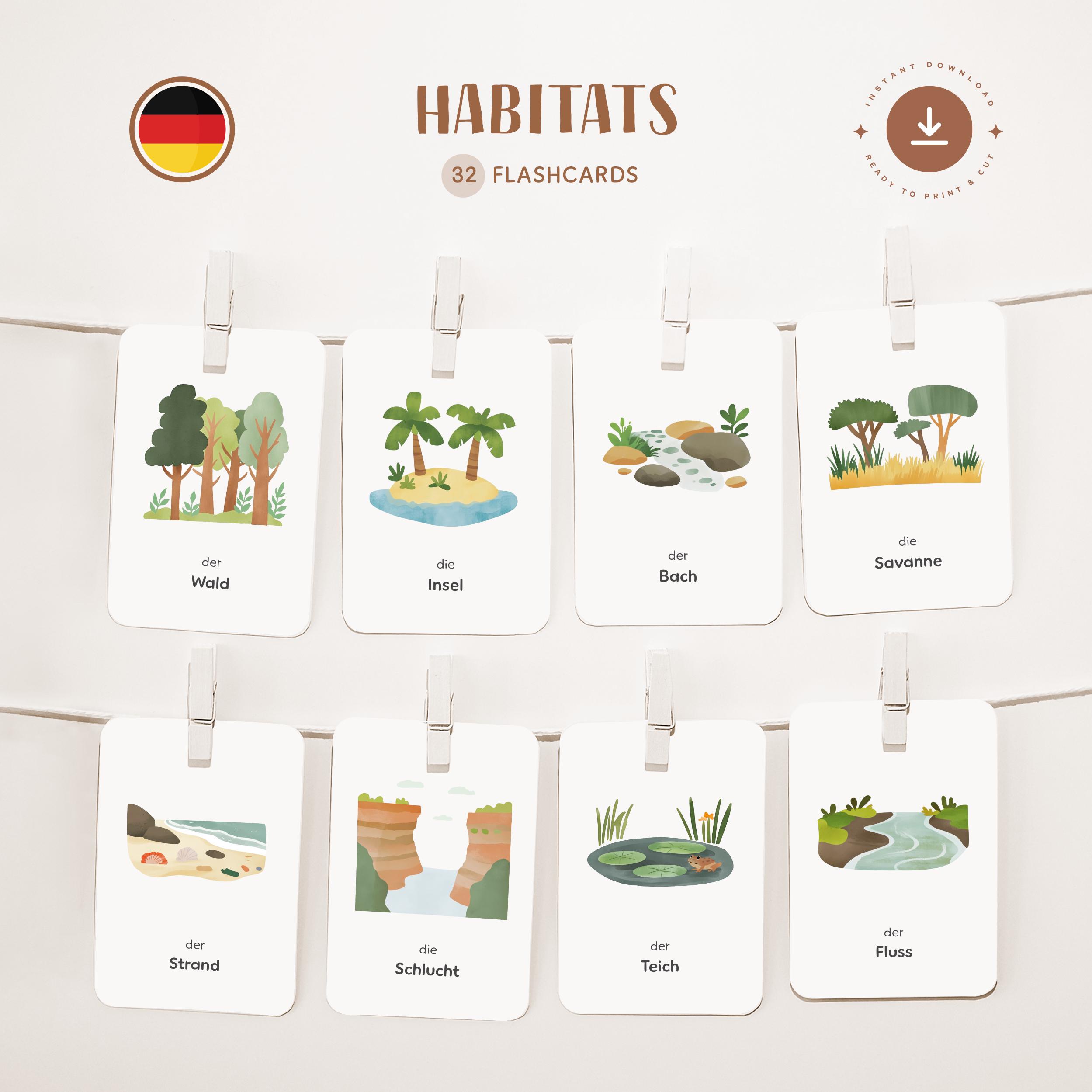 HABITATS & ECOSYSTEMS • German • Printable Flashcards • Three-part ...