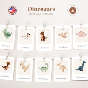 DINOSAURS English Printable Flashcards Three-part Montessori Cards - Etsy