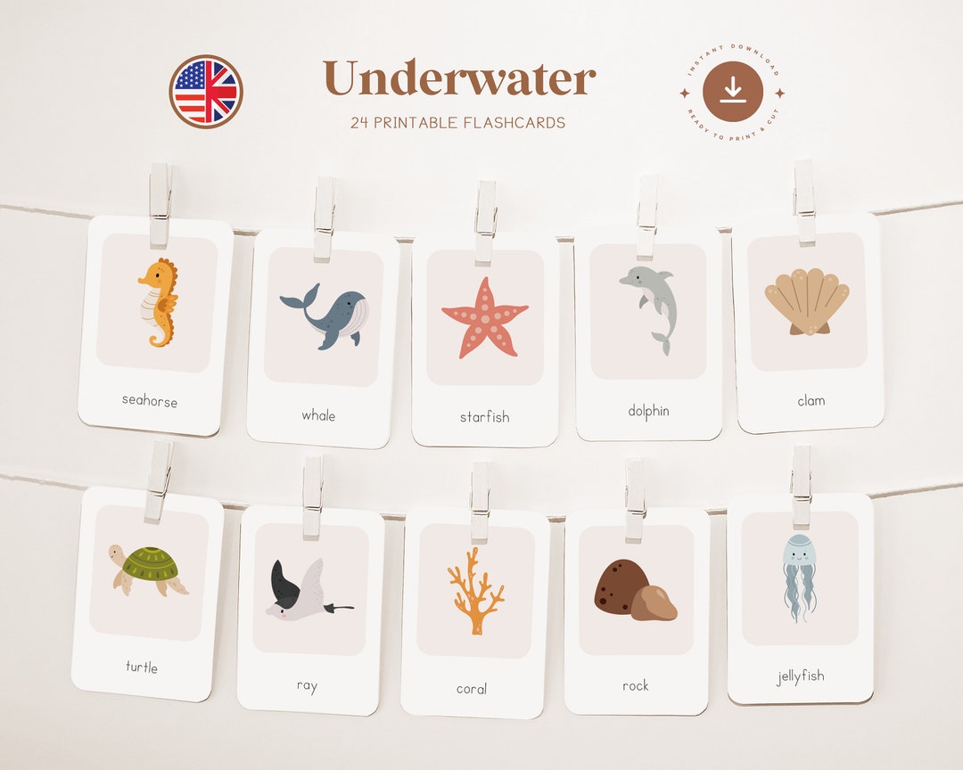 UNDERWATER English Printable Flashcards Three-part Montessori Cards - Etsy