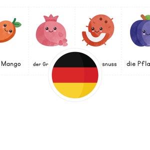 FRUITS German Printable Flashcards Three-part Montessori | Etsy