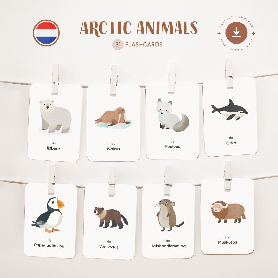 ARCTIC ANIMALS • Dutch • Printable Flashcards • Three-part Montessori ...