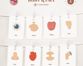 MATERIALS • English • Printable Flashcards • Three-part Montessori ...