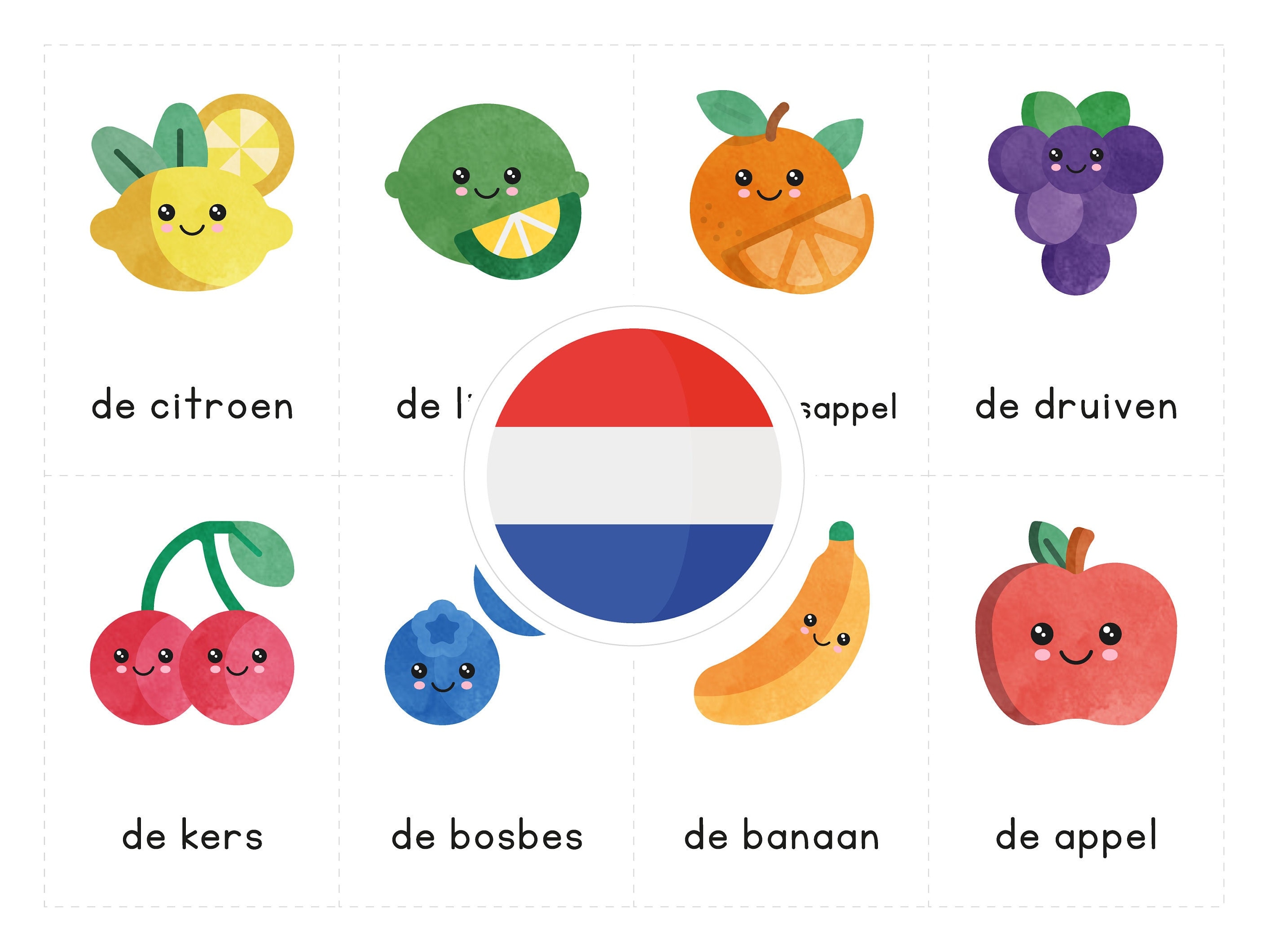FRUITS Dutch Printable Flashcards Three-part Montessori - Etsy