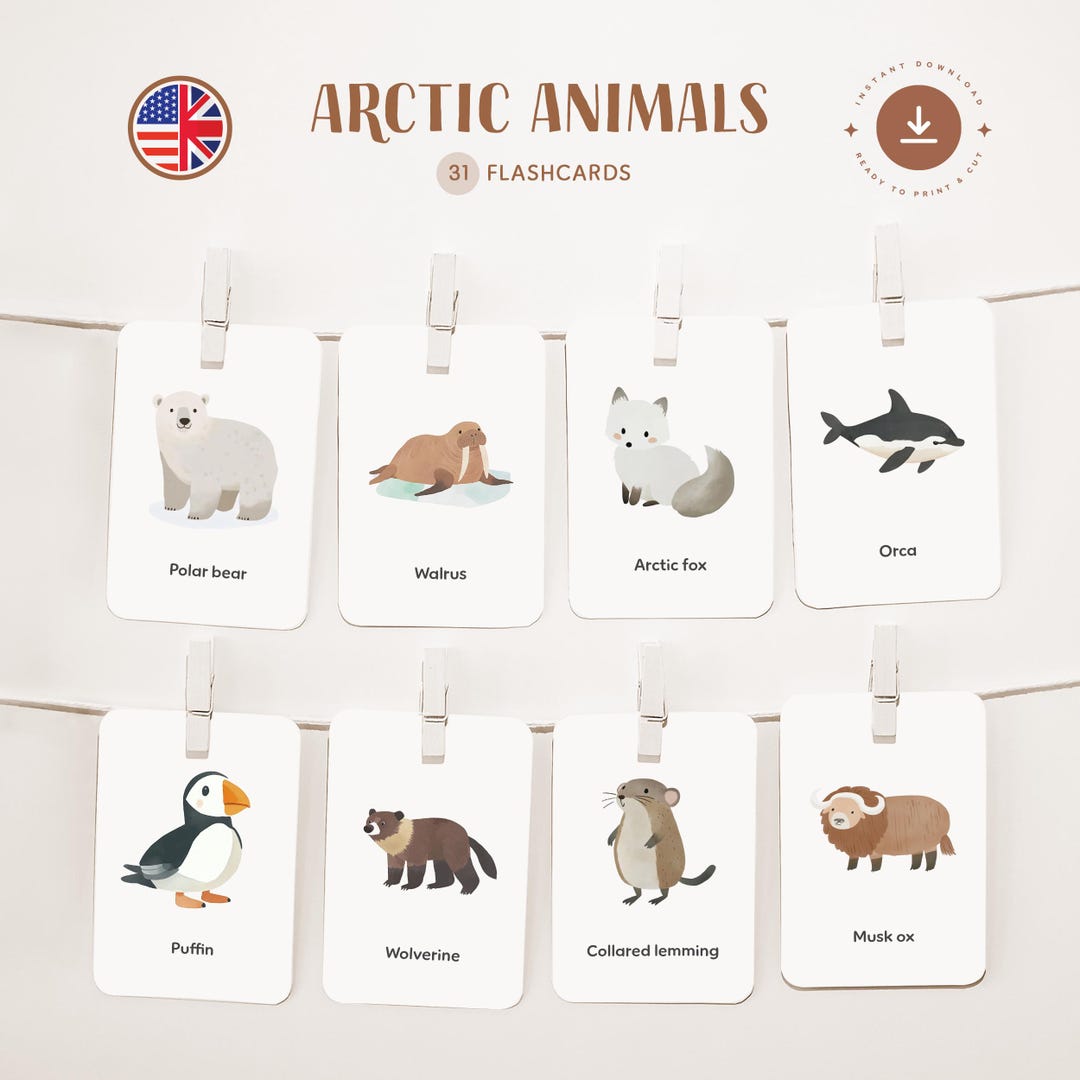 ARCTIC ANIMALS • English • Printable Flashcards • Three-part Montessori ...