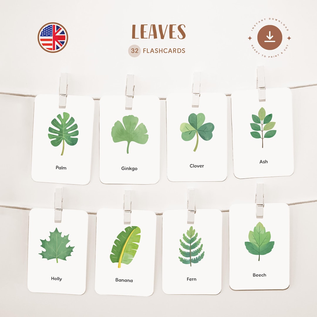 LEAVES • English • Printable Flashcards • Three-part Montessori Cards ...