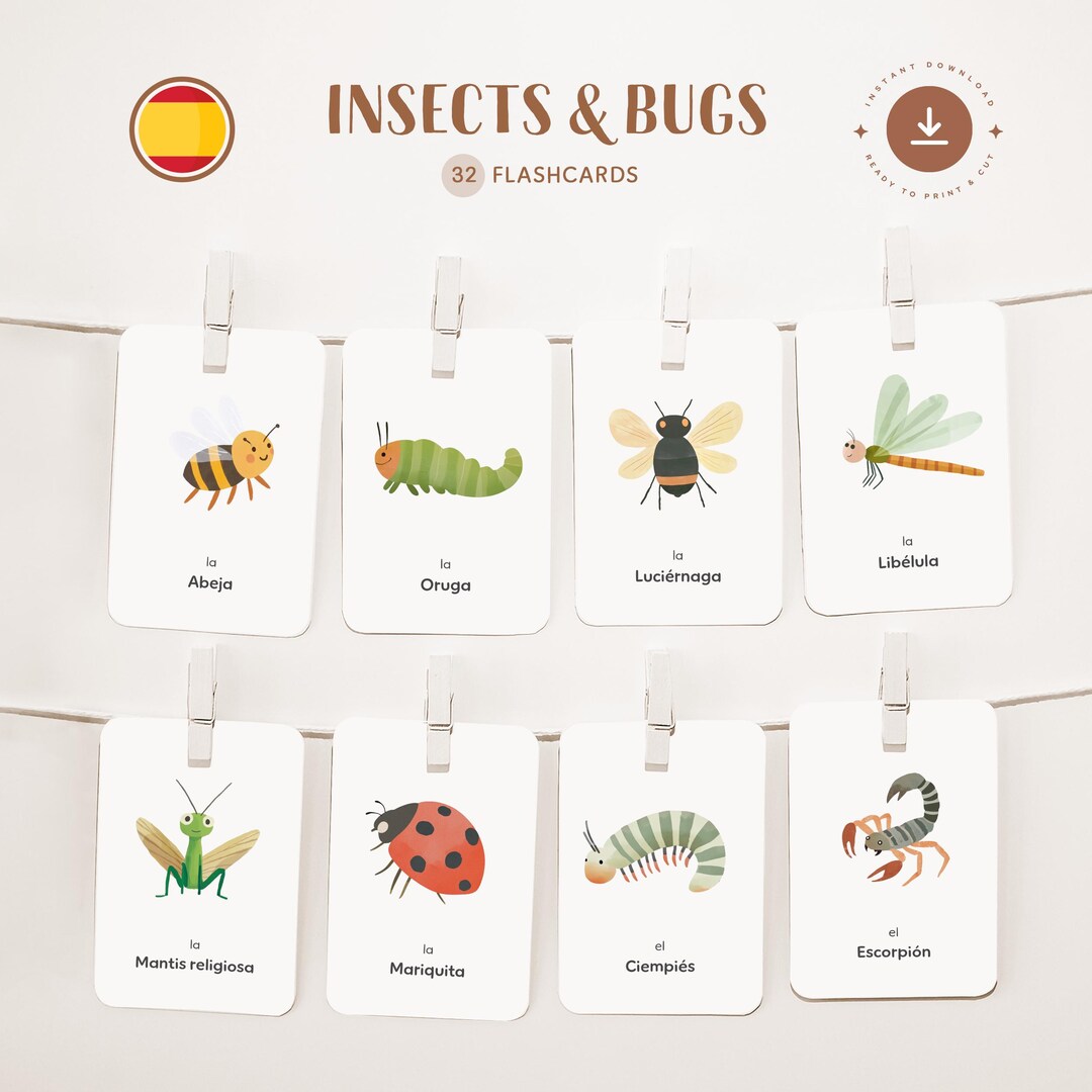 INSECTS & BUGS • Spanish • Printable Flashcards • Three-part Montessori ...