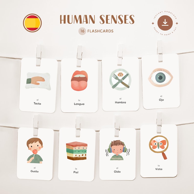 HUMAN SENSES • Spanish • Printable Flashcards • Three-part Montessori ...