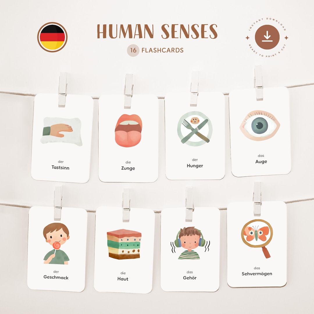 HUMAN SENSES • German • Printable Flashcards • Three-part Montessori ...