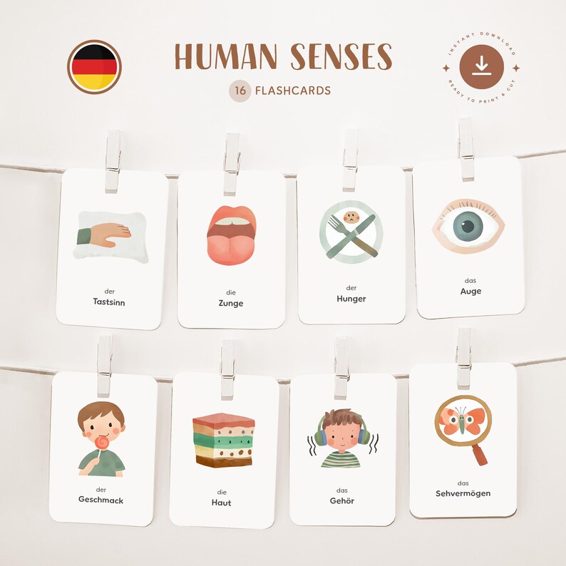 HUMAN SENSES • German • Printable Flashcards • Three-part Montessori ...