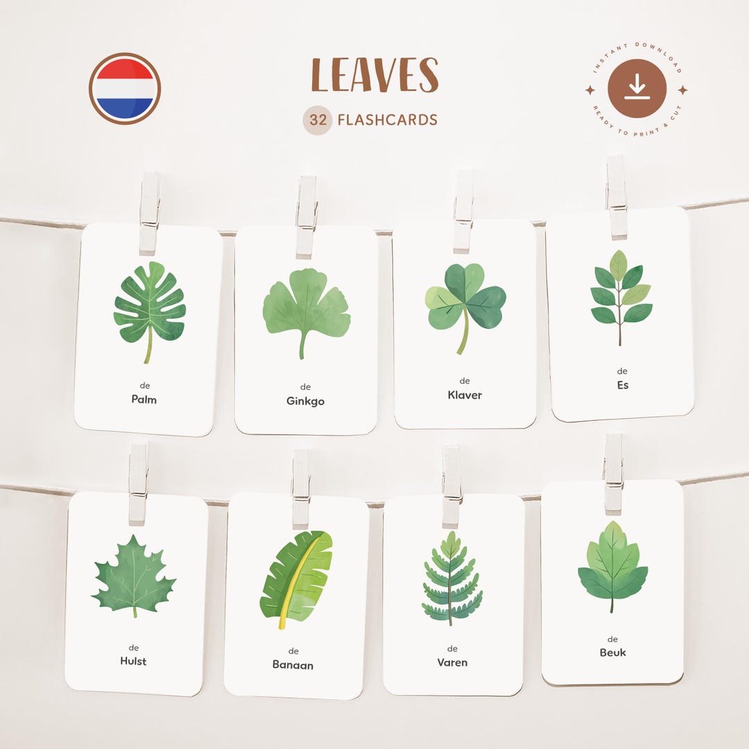 LEAVES • Dutch • Printable Flashcards • Three-part Montessori Cards ...