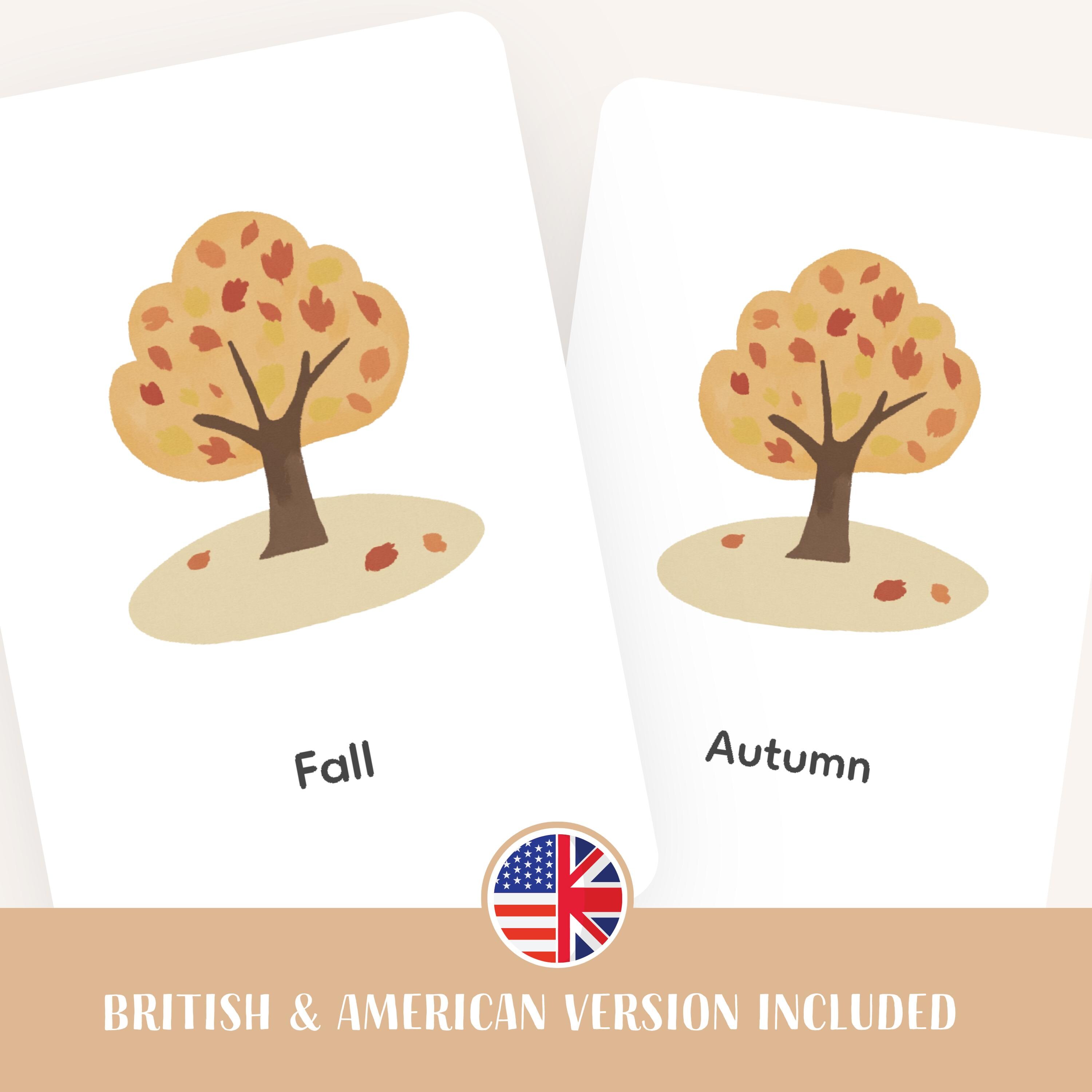 WEATHER • English • Printable Flashcards • Three-part Montessori Cards ...