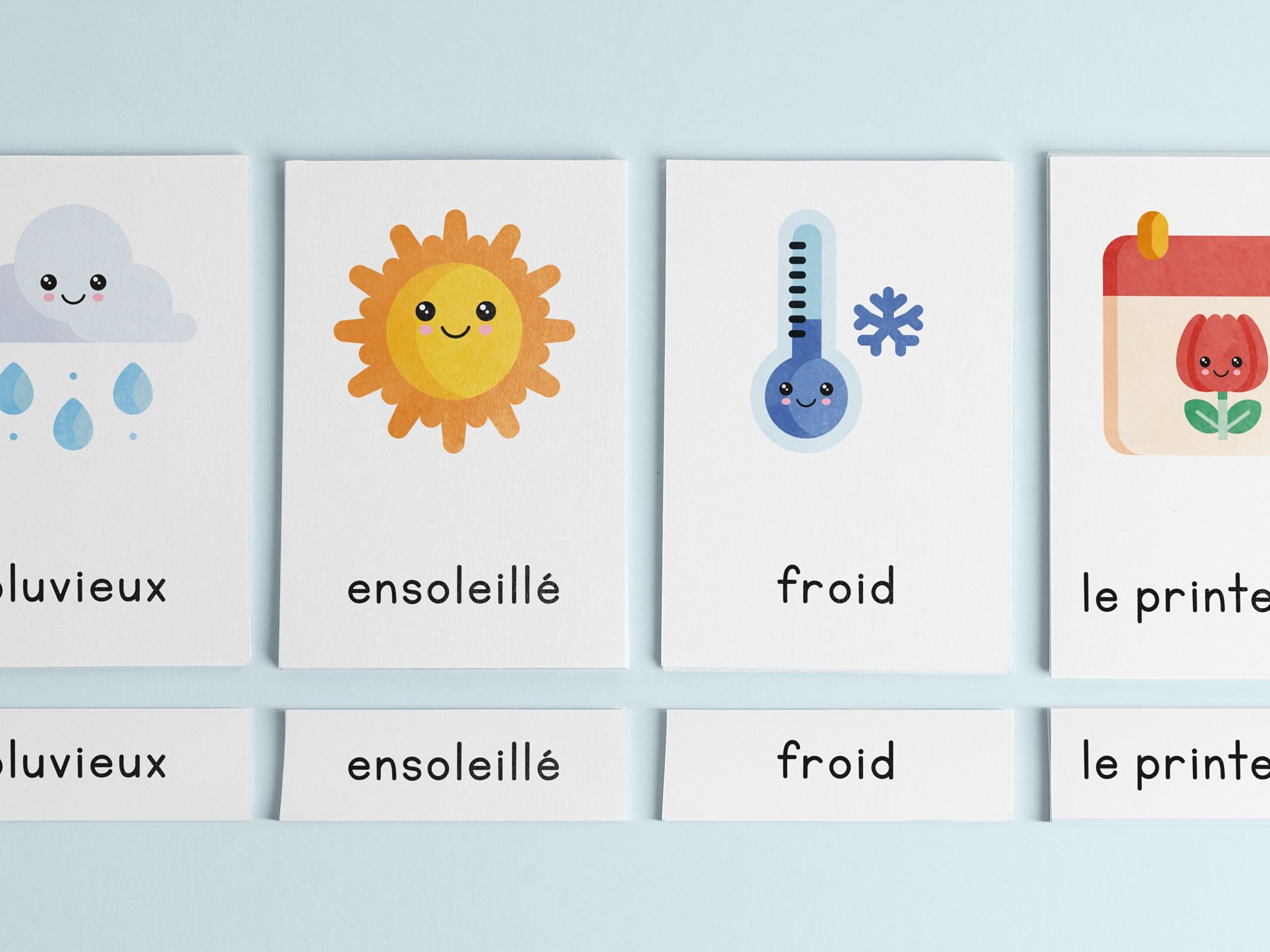 WEATHER French Printable Flashcards Three-part Montessori Cards ...