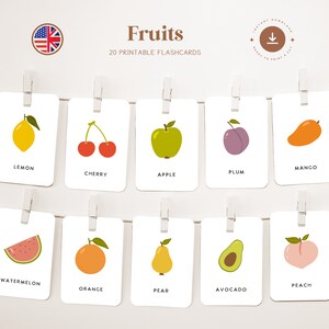 FRUITS English Printable Flashcards Three-part Montessori Cards ...