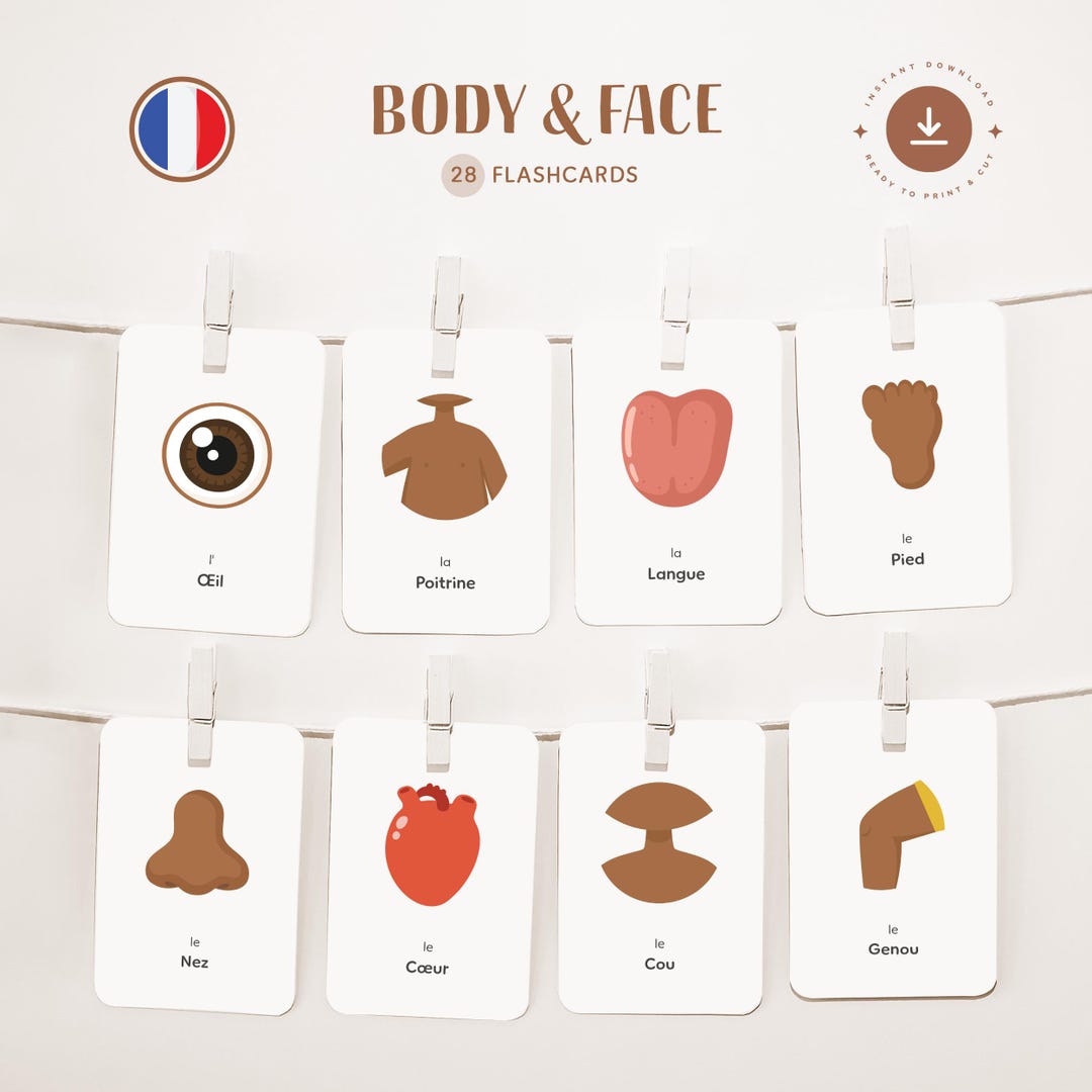 BODY - DARK • French • Printable Flashcards • Three-part Montessori ...