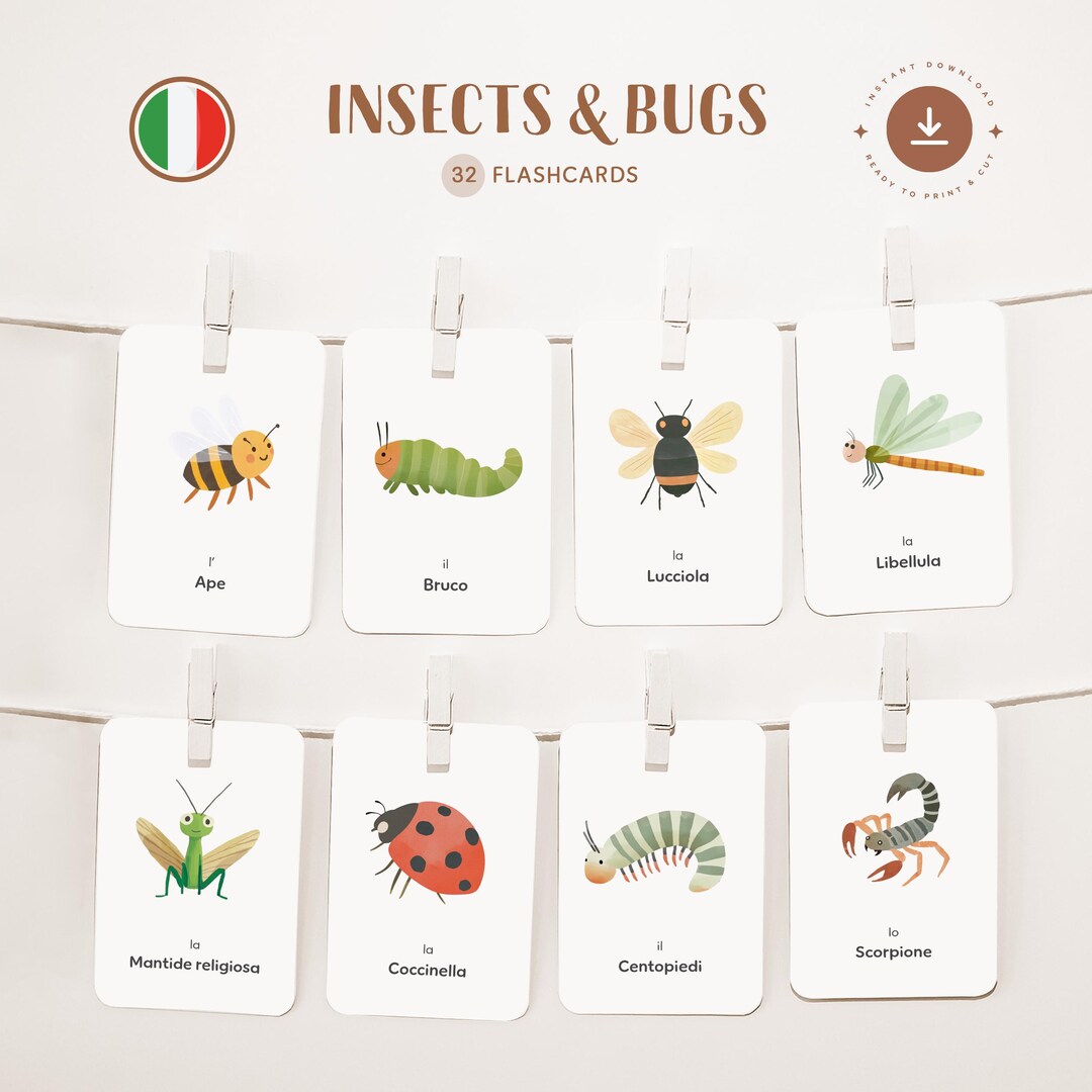 INSECTS & BUGS • Italian • Printable Flashcards • Three-part Montessori ...