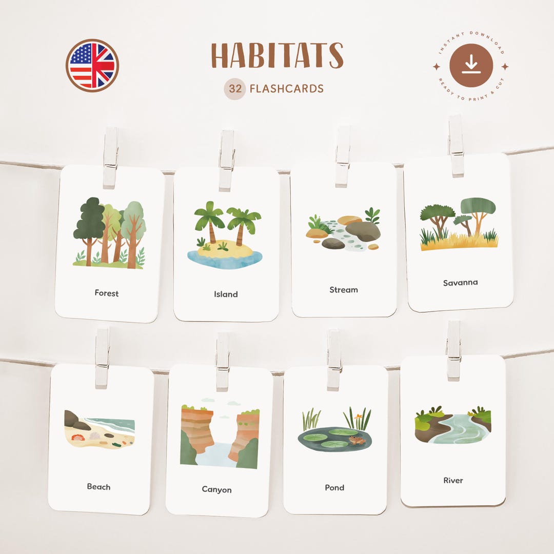 HABITATS & ECOSYSTEMS • English • Printable Flashcards • Three-part ...