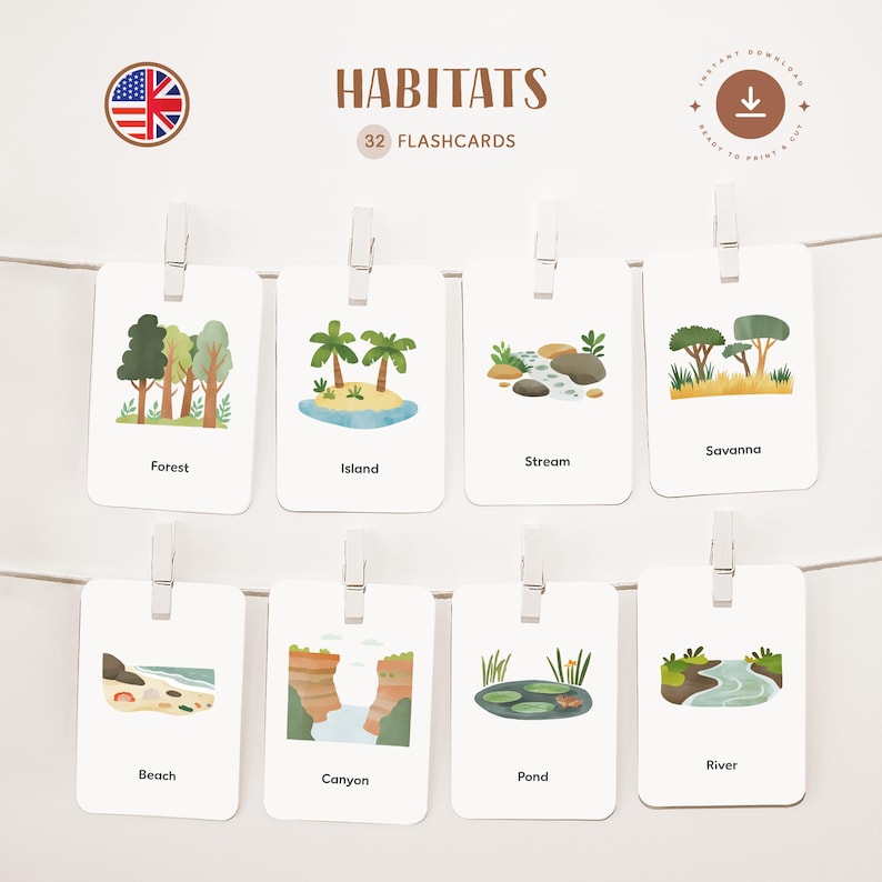 HABITATS & ECOSYSTEMS • English • Printable Flashcards • Three-part ...