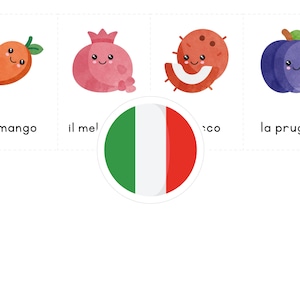 FRUITS Italian Printable Flashcards Three-part Montessori Cards - Etsy