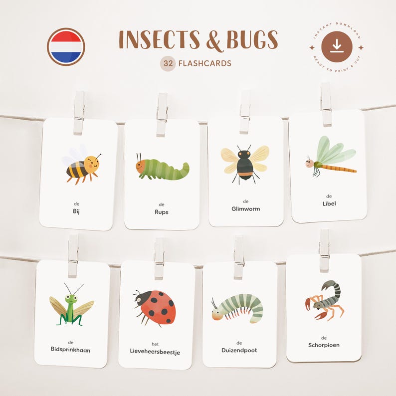 INSECTS & BUGS • Dutch • Printable Flashcards • Three-part Montessori ...