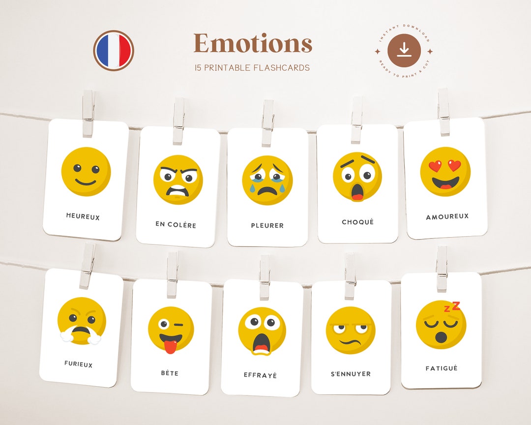 EMOTIONS • French • Printable Flashcards • Three-part Montessori Cards ...