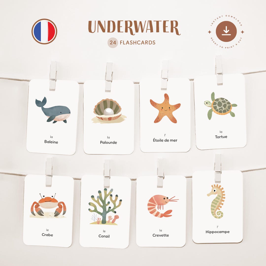 UNDERWATER • French • Printable Flashcards • Three-part Montessori ...