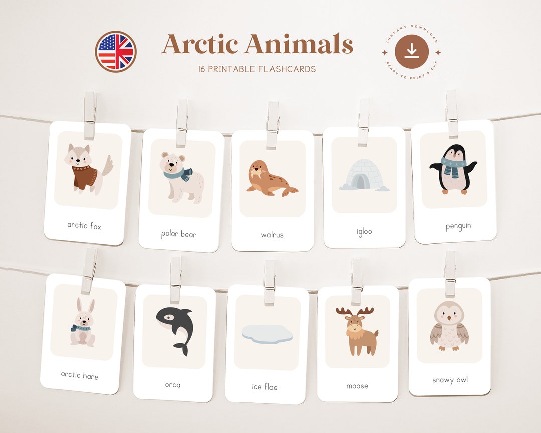 ARCTIC English Printable Flashcards Three-part Montessori Cards - Etsy